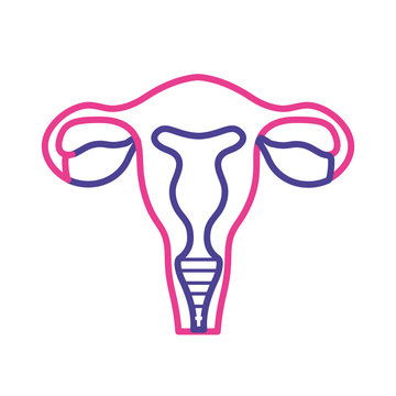 รูปภาพUterus – เลือกดูภาพถ่ายสต็อก เวกเตอร์ และวิดีโอ410,520 | Adobe Stock