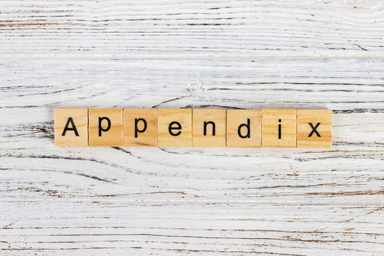 รูปภาพAppendix – เลือกดูภาพถ่ายสต็อก เวกเตอร์ และวิดีโอ17,905 | Adobe Stock