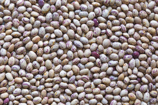 "Haricot Bean" Bilder – Durchsuchen 1,520 Archivfotos, Vektorgrafiken ...