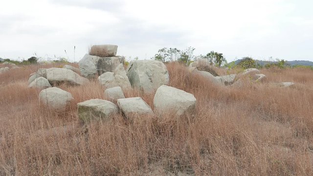 "Pasto Seco"-Bilder: Stock-Fotos & -Videos. | Adobe Stock