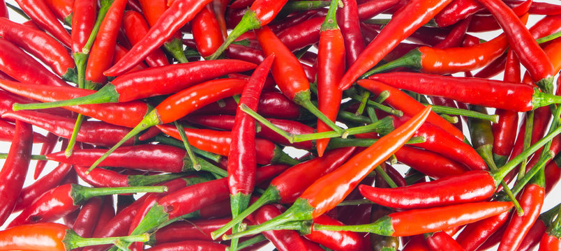 「Peperonis」の写真素材 | 398件の無料イラスト画像 | Adobe Stock