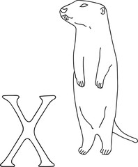 Xerus Page Coloring Pages