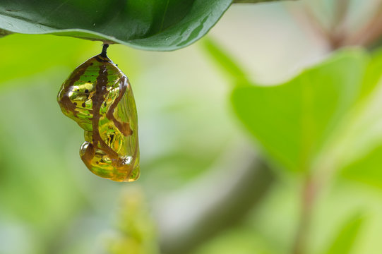 รูปภาพNefte – เลือกดูภาพถ่ายสต็อก เวกเตอร์ และวิดีโอ89 | Adobe Stock