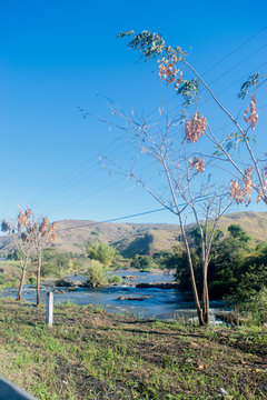 Imagens de Exuberância – Explore Fotografias do Stock, Vetores e Vídeos ...