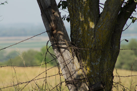 รูปภาพBarbes – เลือกดูภาพถ่ายสต็อก เวกเตอร์ และวิดีโอ70 | Adobe Stock