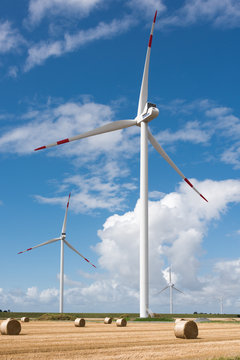 Winrad Bilder – Durchsuchen 62 Archivfotos, Vektorgrafiken und Videos ...