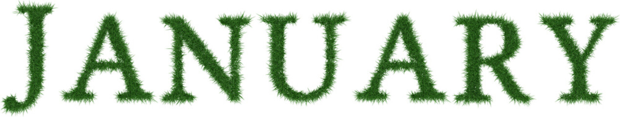 January photos, royalty-free images, graphics, vectors & videos | Adobe ...