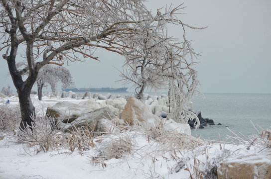 Pavlin photos, images, assets | Adobe Stock