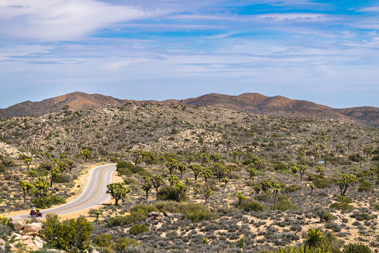 "Pinto Culture"-Bilder: Stock-Fotos & -Videos. | Adobe Stock