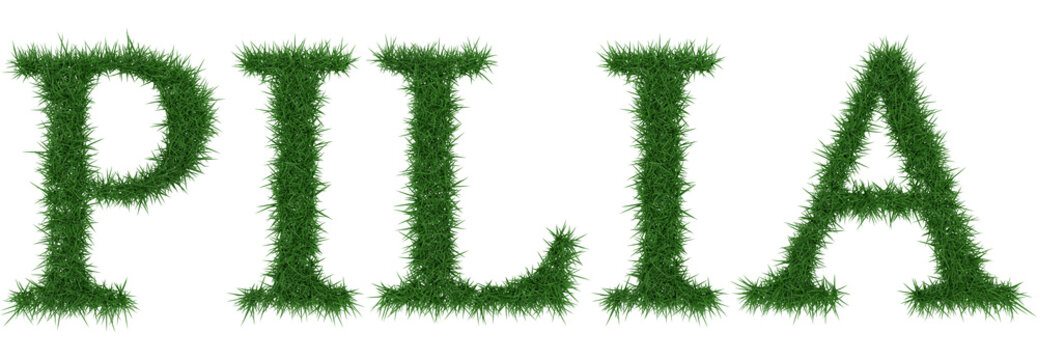 Pilia Images – Browse 44 Stock Photos, Vectors, and Video | Adobe Stock