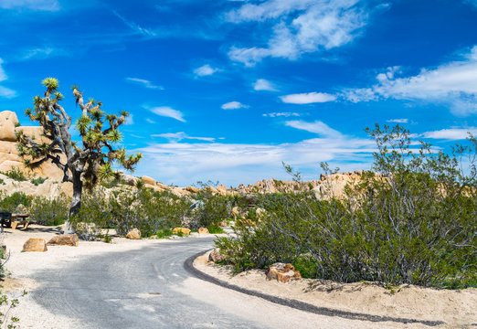 "Pinto Culture"-Bilder: Stock-Fotos & -Videos. | Adobe Stock