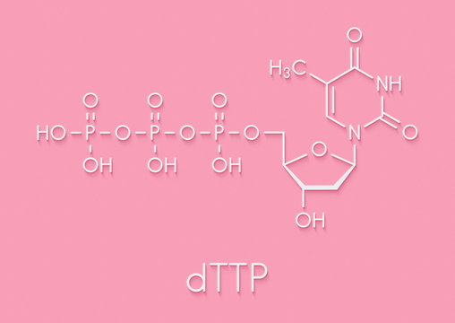 Imagens de Ttp – Explore Fotografias do Stock, Vetores e Vídeos de 117 ...
