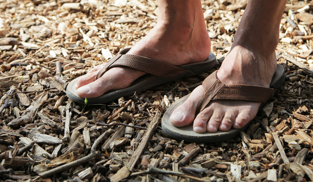 64 MEILLEURES Slache IMAGES, PHOTOS ET ILLUSTRATIONS VECTORIELLES STOCK ...