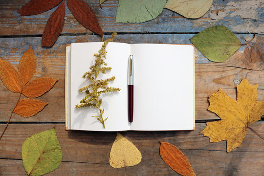 "Open Diary" Bilder – Durchsuchen 193 Archivfotos, Vektorgrafiken und ...