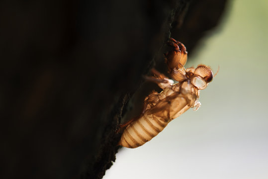 รูปภาพSlough – เลือกดูภาพถ่ายสต็อก เวกเตอร์ และวิดีโอ177,045 | Adobe Stock
