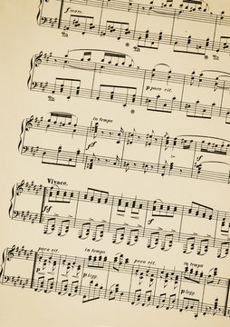 Scheet Images – Browse 20 Stock Photos, Vectors, and Video | Adobe Stock