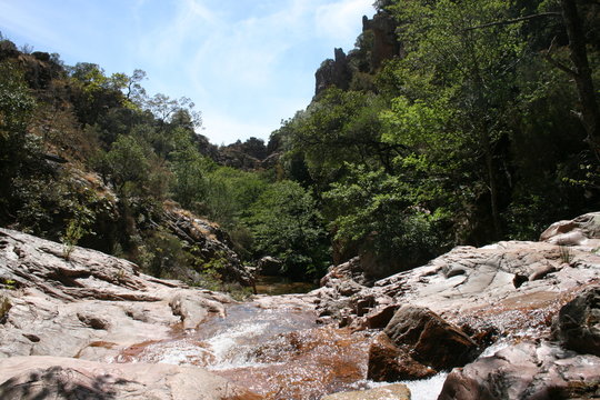 Baraci Images – Browse 2 Stock Photos, Vectors, and Video | Adobe Stock