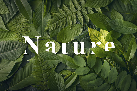 Hazem photos, images, assets | Adobe Stock