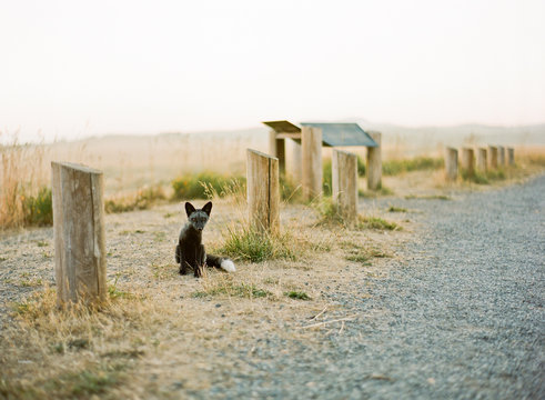 DIE 3,733 BESTEN BILDER, STOCK-FOTOS UND -VEKTORGRAFIKEN ZU ...