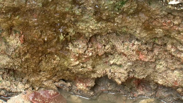 Underground Layer Images – Browse 8,601 Stock Photos, Vectors, and ...