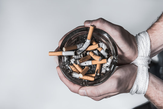 Ash-Pot Images – Browse 209 Stock Photos, Vectors, and Video | Adobe Stock