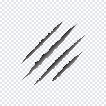 Claws Ripping Through Images – Browse 1,728 Stock Photos, Vectors, and ...