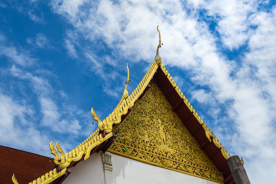 pasgen photos, images, assets | Adobe Stock