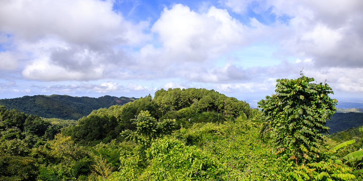 Cumanayagua Images – Browse 32 Stock Photos, Vectors, and Video | Adobe ...