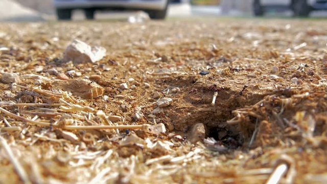 รูปภาพSuff – เลือกดูภาพถ่ายสต็อก เวกเตอร์ และวิดีโอ247 | Adobe Stock