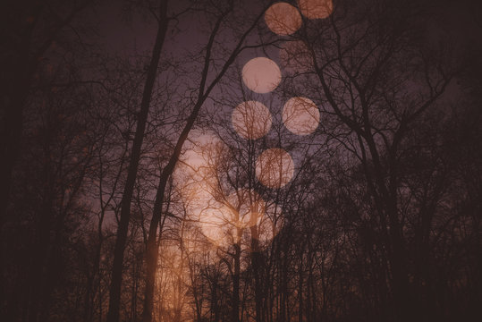 Will-O'-The-Wisp Images – Browse 29 Stock Photos, Vectors, and Video ...