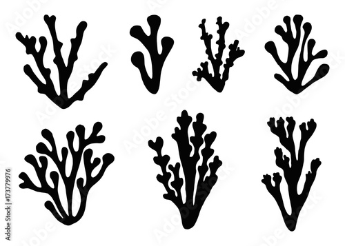 "algae icon set vector" Imágenes de archivo y vectores libres de ...