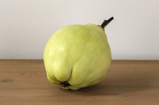 Cotogna Images – Browse 92 Stock Photos, Vectors, and Video | Adobe Stock