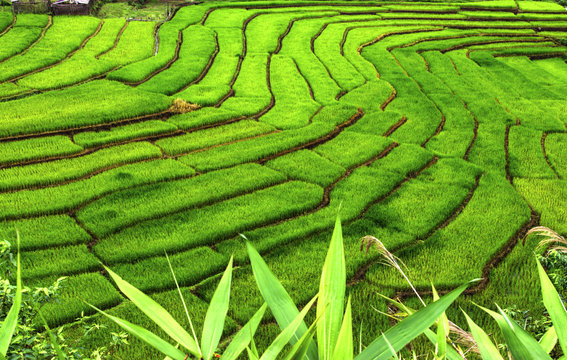 รูปภาพTuling – เลือกดูภาพถ่ายสต็อก เวกเตอร์ และวิดีโอ3,015 | Adobe Stock