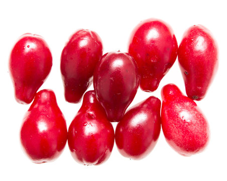 รูปภาพDogberry – เลือกดูภาพถ่ายสต็อก เวกเตอร์ และวิดีโอ27,338 | Adobe Stock