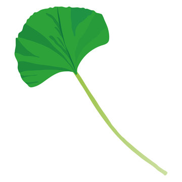 Kantou Images – Browse 39 Stock Photos, Vectors, and Video | Adobe Stock