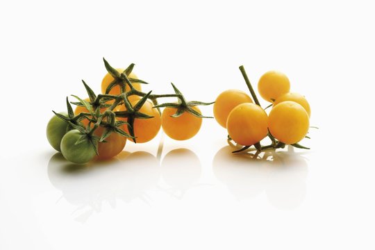 รูปภาพRipely – เลือกดูภาพถ่ายสต็อก เวกเตอร์ และวิดีโอ130 | Adobe Stock