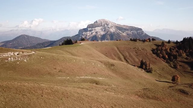 Chartreuse Images – Browse 131,747 Stock Photos, Vectors, and Video ...