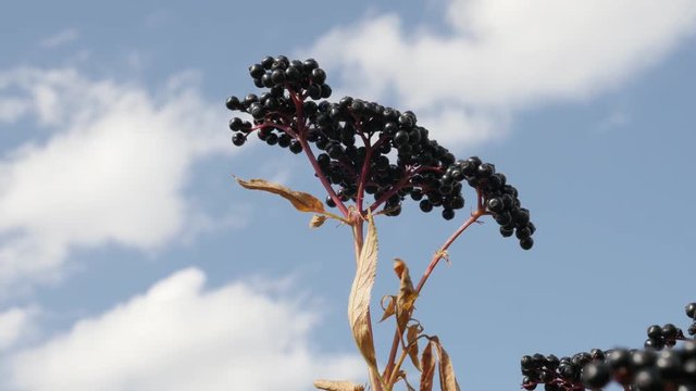 Avdika Bilder – Durchsuchen 6 Archivfotos, Vektorgrafiken und Videos ...