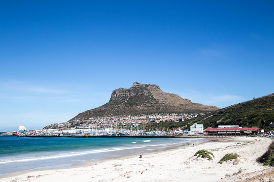 Hout Images – Browse 21 Stock Photos, Vectors, and Video | Adobe Stock