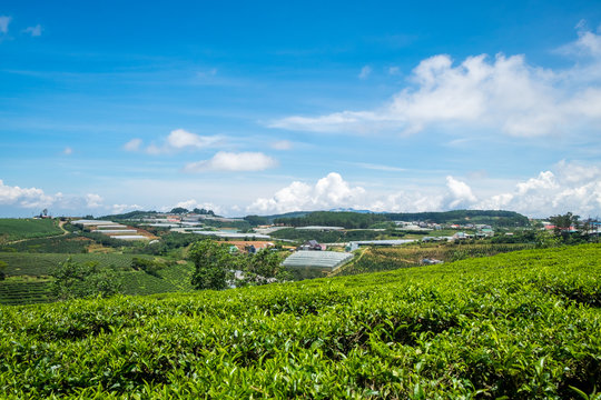 รูปภาพ25Km – เลือกดูภาพถ่ายสต็อก เวกเตอร์ และวิดีโอ334 | Adobe Stock