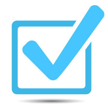 Blue Check Box Icon