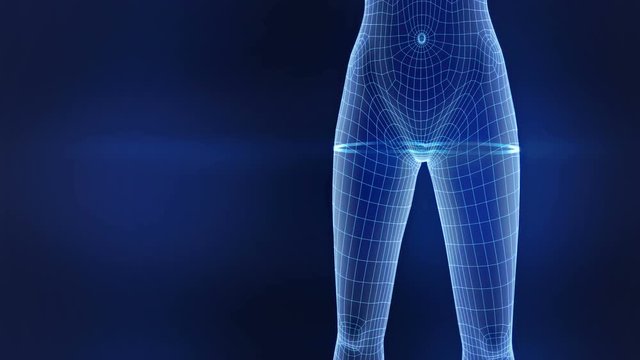 Anatomical Female Body Images – Browse 24,370 Stock Photos, Vectors ...