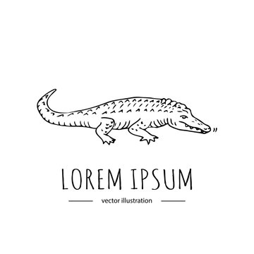 Gator Outline Images – Browse 3,042 Stock Photos, Vectors, and Video ...