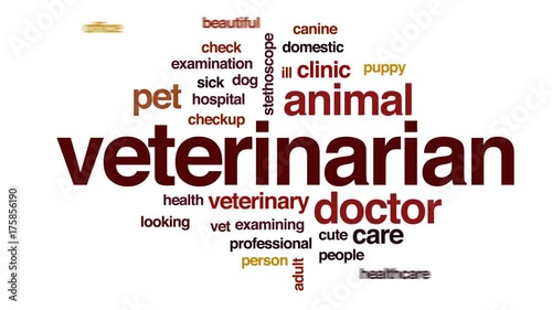 "Veterinarian animated word cloud, text design animation." Stock ...