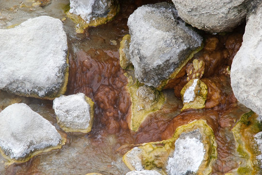 Nobra-Bilder: Stock-Fotos & -Videos. | Adobe Stock