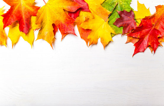 "Autumn Background" bilder – Bläddra bland 67,140 stockfoton, vektorer ...