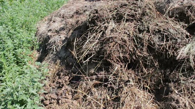 「Muck-Heap」の画像 - 21 件の Stock 写真、ベクターおよびビデオ | Adobe Stock