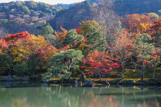 45 BEST Sogen IMAGES, STOCK PHOTOS & VECTORS | Adobe Stock