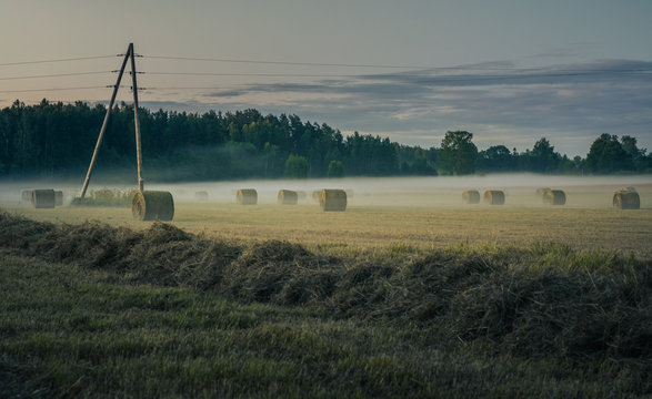 "Hay Rolls" Images – Browse 998 Stock Photos, Vectors, and Video ...