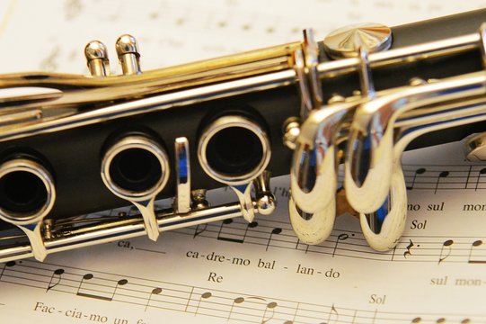 Clarino Images – Browse 51 Stock Photos, Vectors, and Video | Adobe Stock